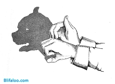 BullDog Hand Shadow Puppet | Stimulate your Brain